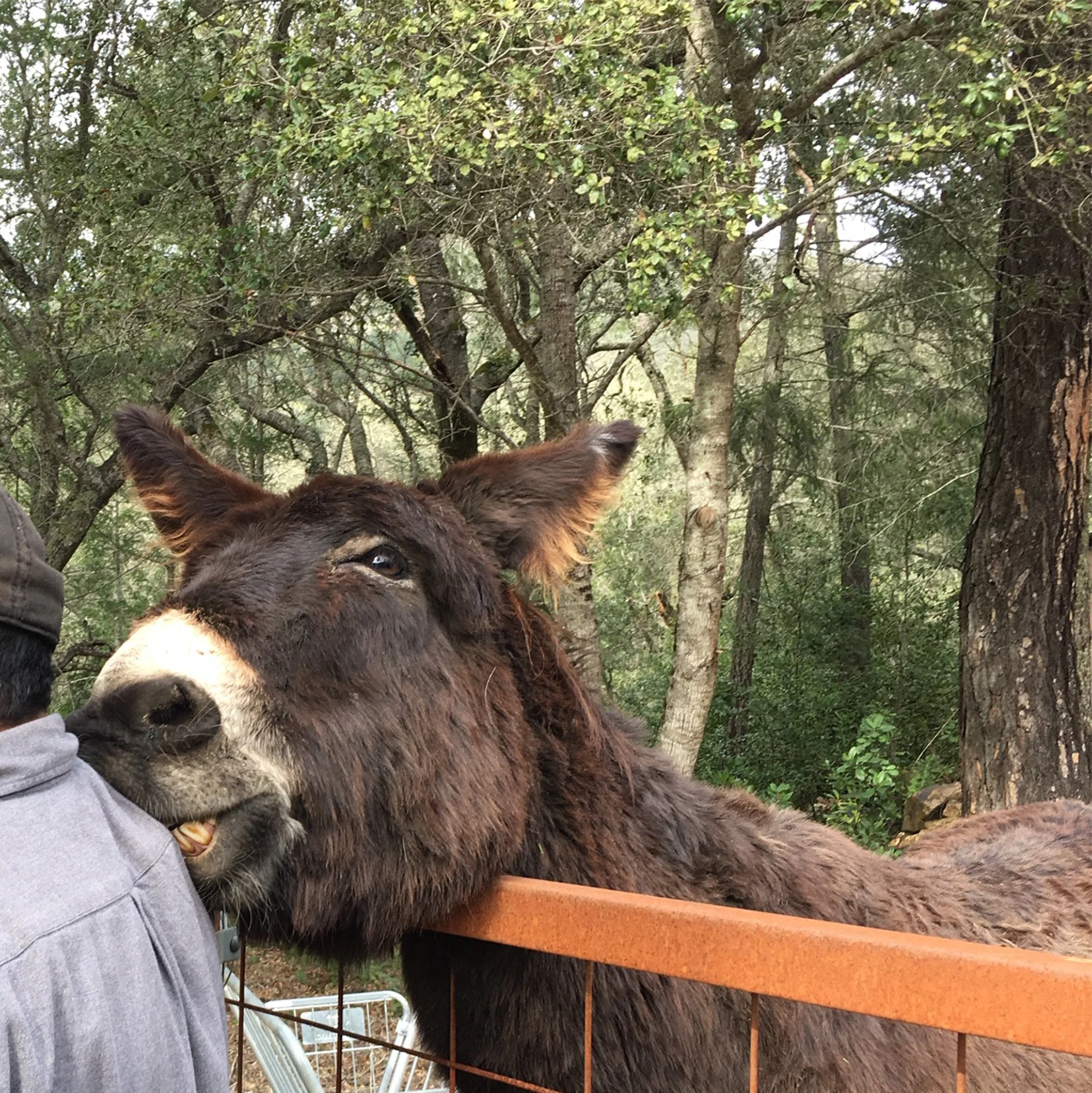 ABOUT US — Kelly Fleming Wines