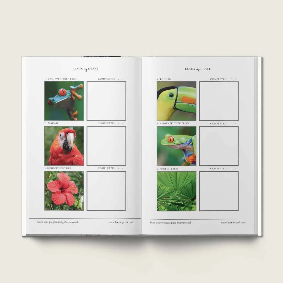 Learn My Craft Practice Journal African Wildlife Paperback — Learn My Craft