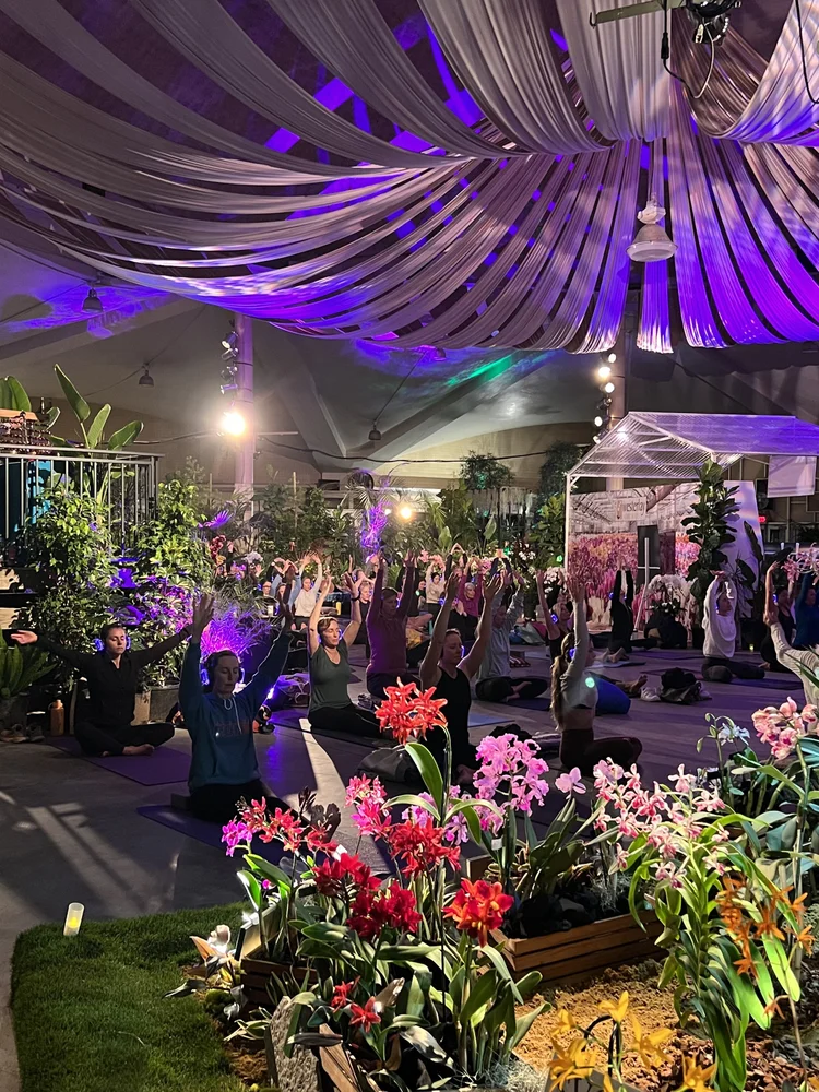 Orchid | Discover Your Orchid Escape – Join Now