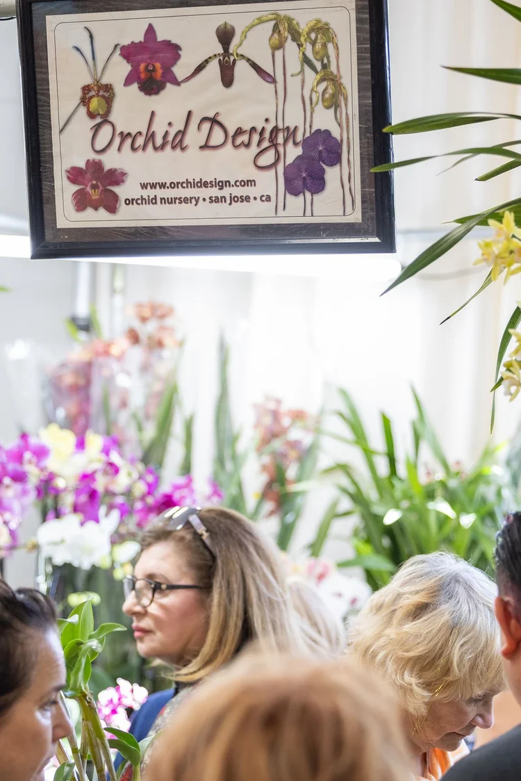 Orchid | Discover Your Orchid Escape – Join Now
