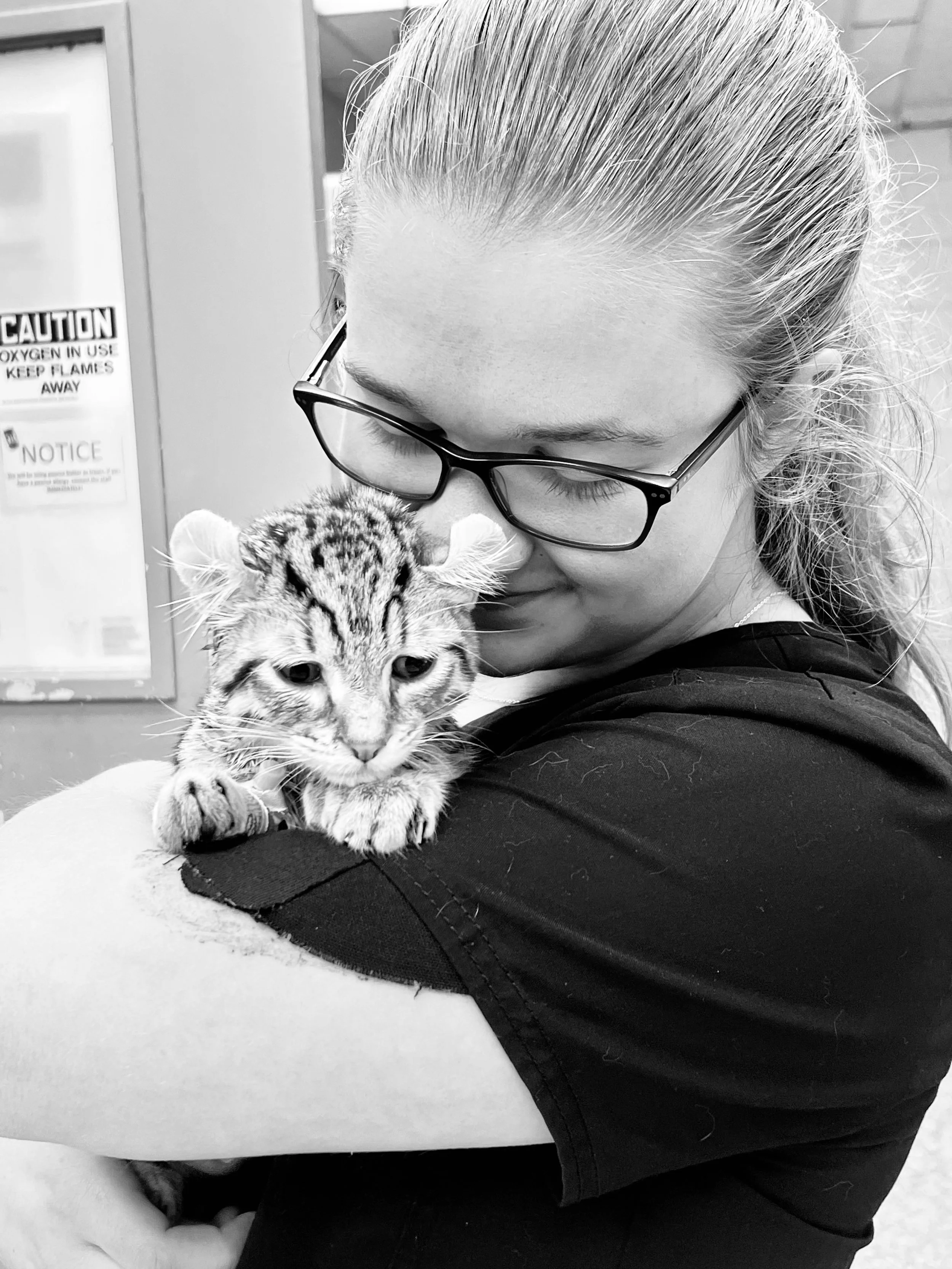 About Us — Save Them All Animal Rescue