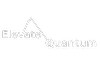 Quantum Rings: Large Scale Quantum Simulation on your Computer