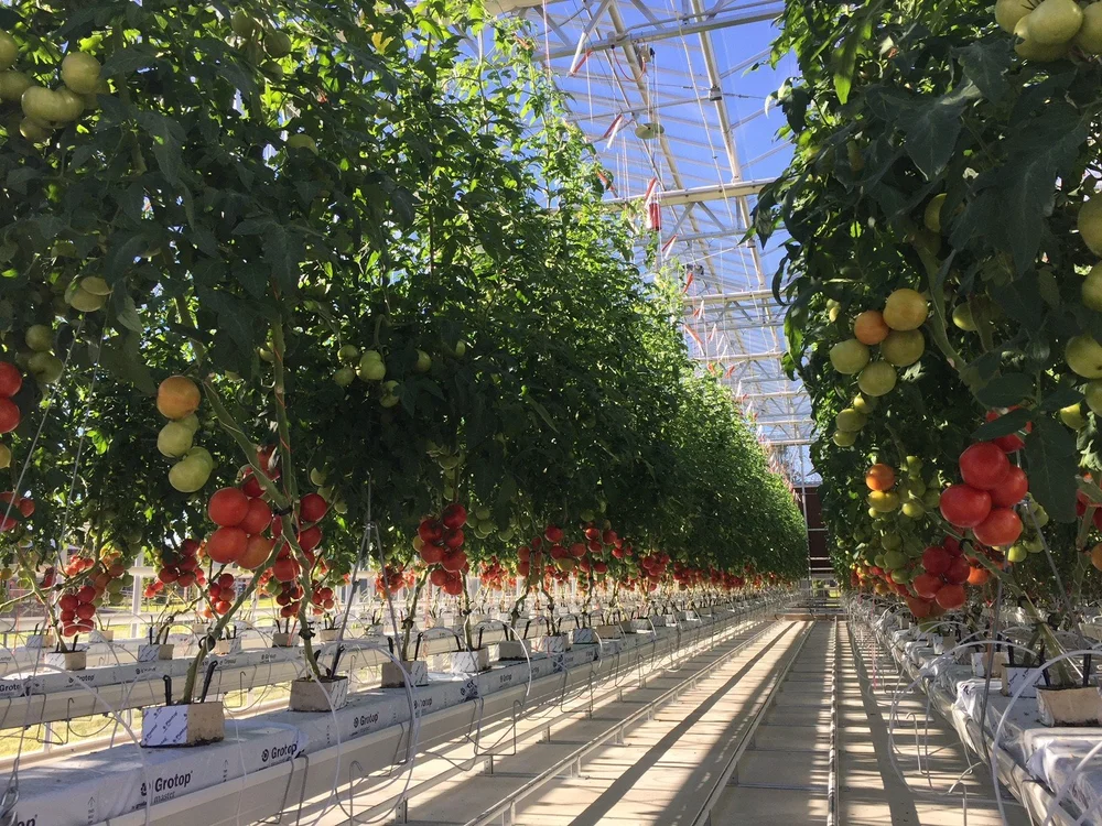 Our Centre — ARC Training Centre for Smart & Sustainable Horticulture