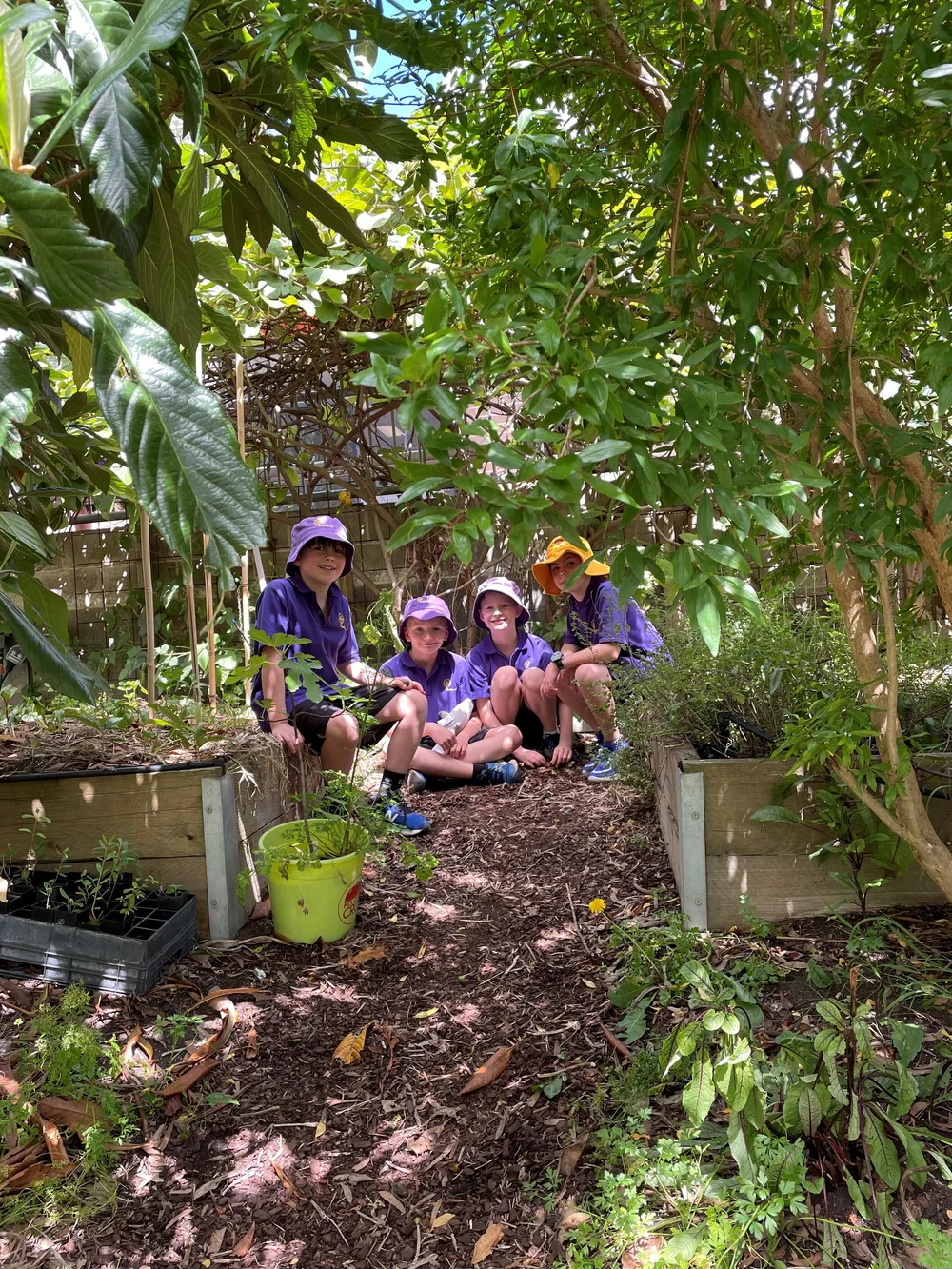 Vision & Values — Eltham East Primary School