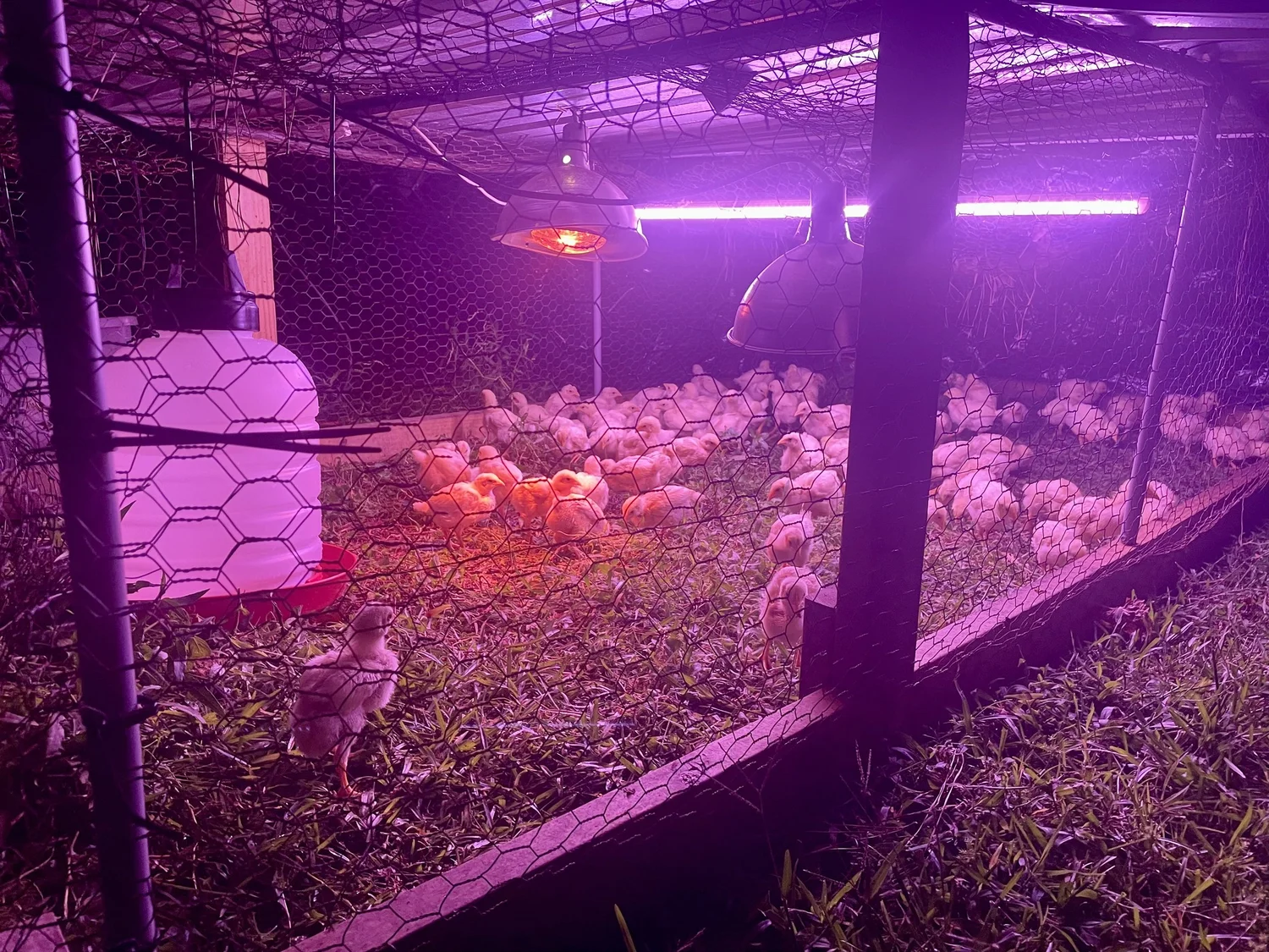Contact | Goldsboro, NC — Lockwood Farms