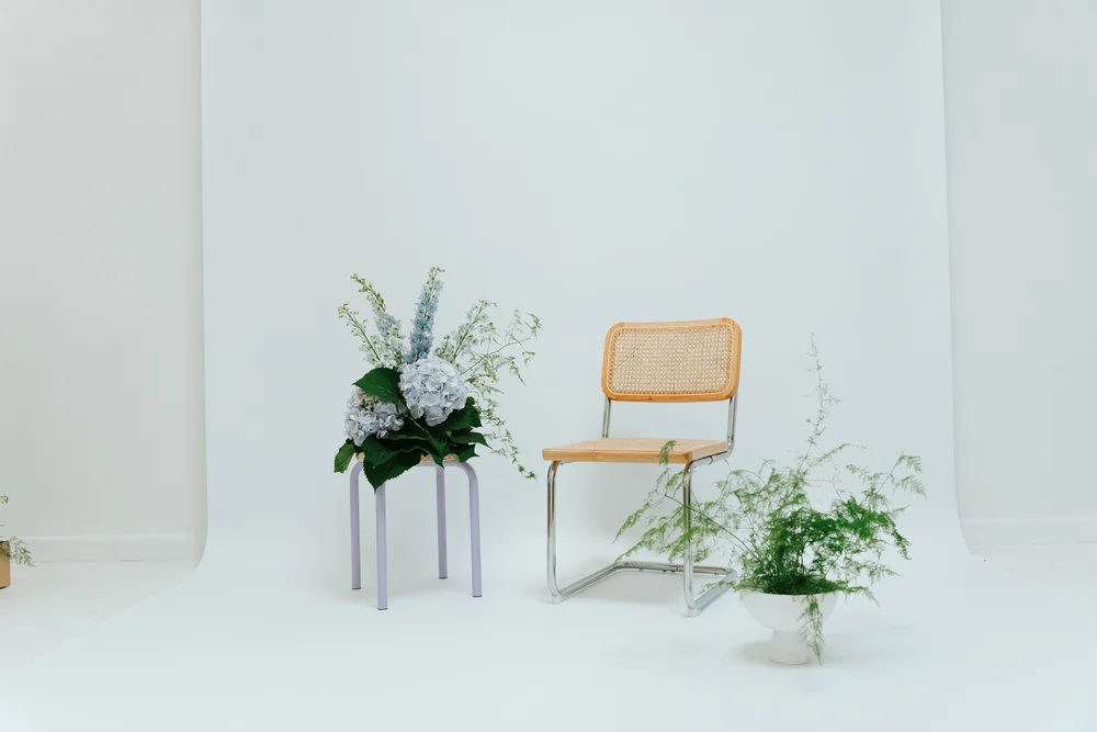 Content Studio — The Studio