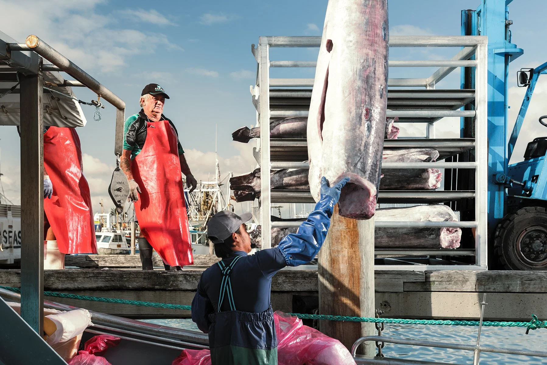 4Seas | Australian Wild Caught Tuna + Swordfish