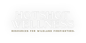What is a Hotshot? — Hotshot Wellness