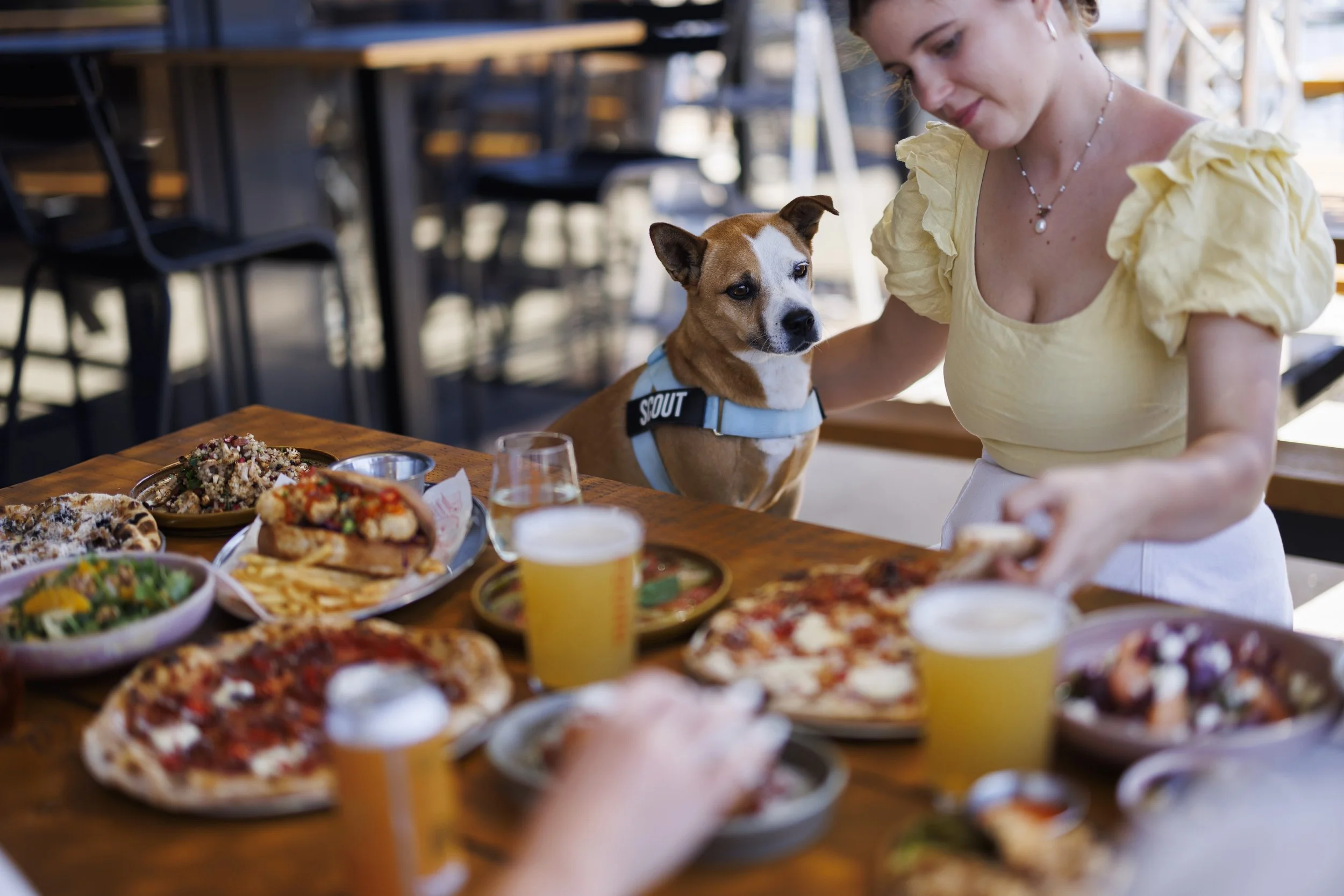 FOUND LAB. BYFORD — FOUND. BEER