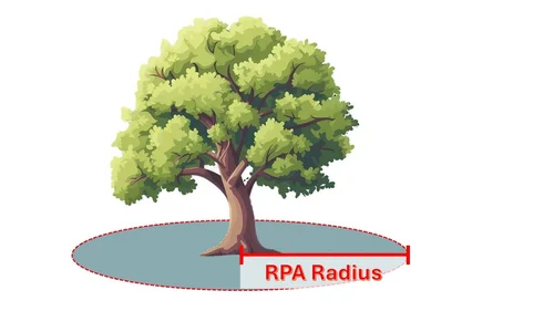Root Protection Area Calculator Tool — All Silva