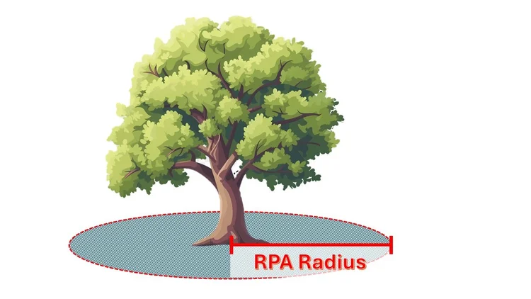 Root Protection Area Calculator Tool — All Silva