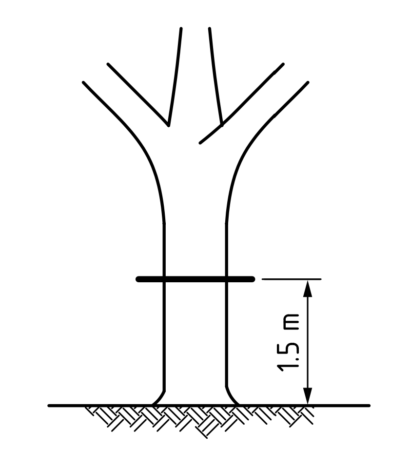 Root Protection Area Calculator Tool — All Silva