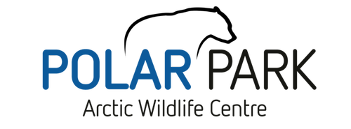 Welcome to Polar Park - the world's northernmost animal park — Polar Park