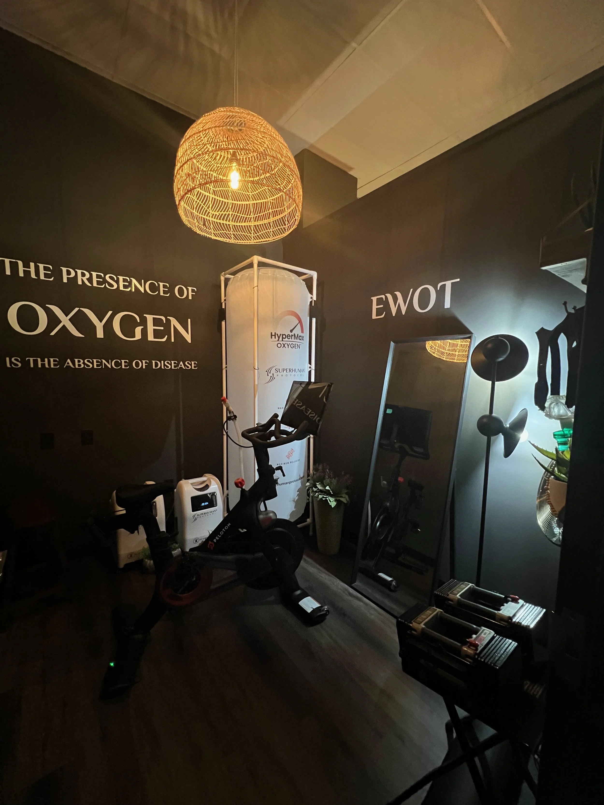 The Wellness Lab