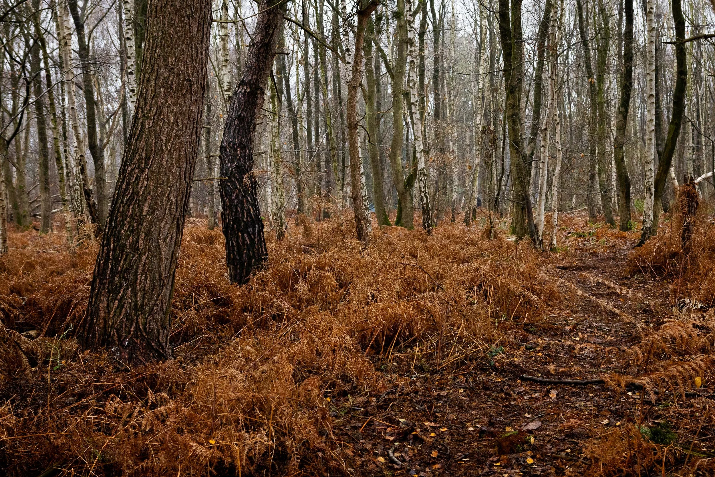 Wild Youth Programme Photography | Eleanor Church Lark Rise