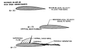 Why Are Airplane Wings Swept Backwards? — Elia Roselli