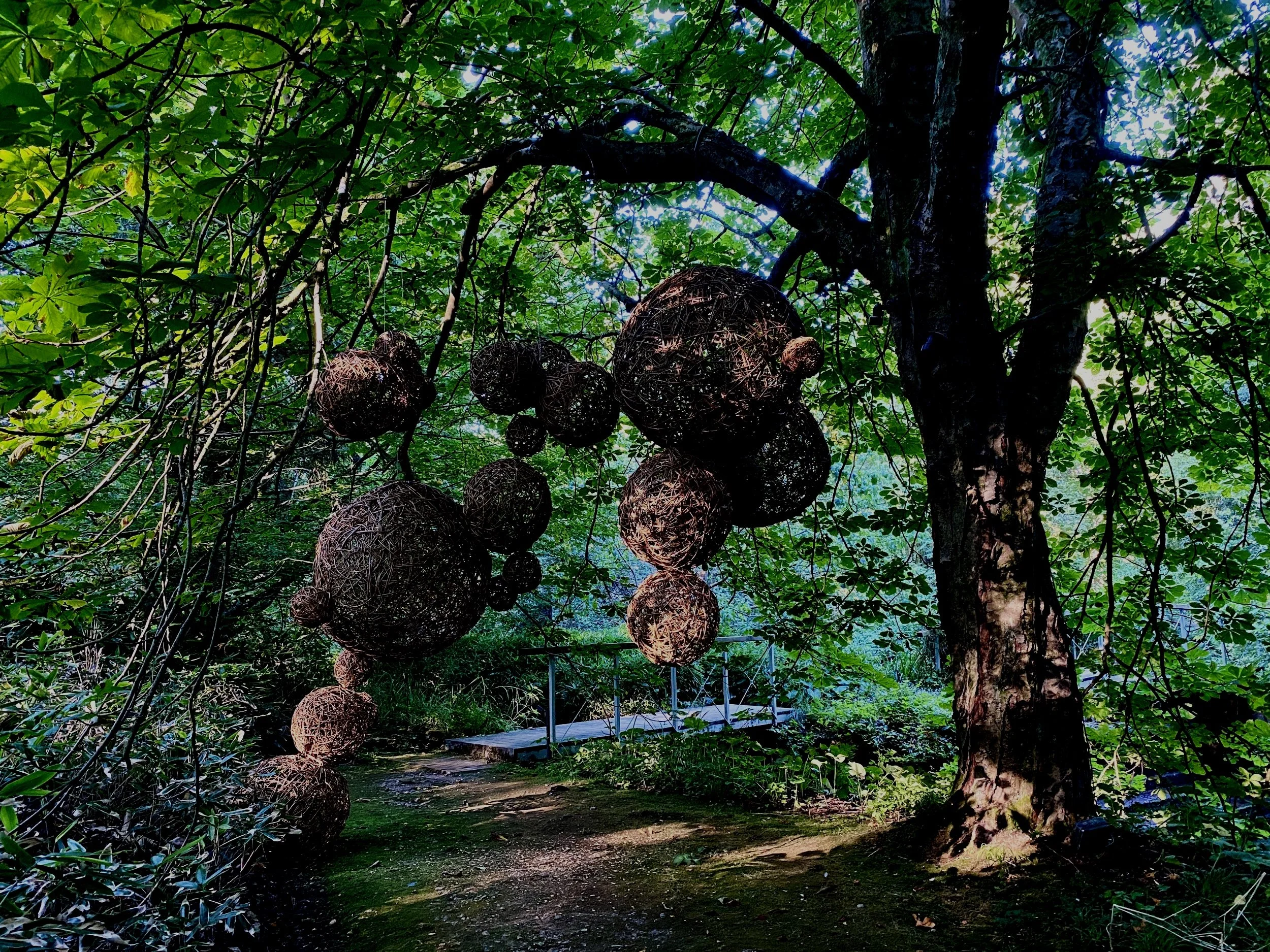 Current Artists 2025 — The Hannah Peschar Sculpture Garden