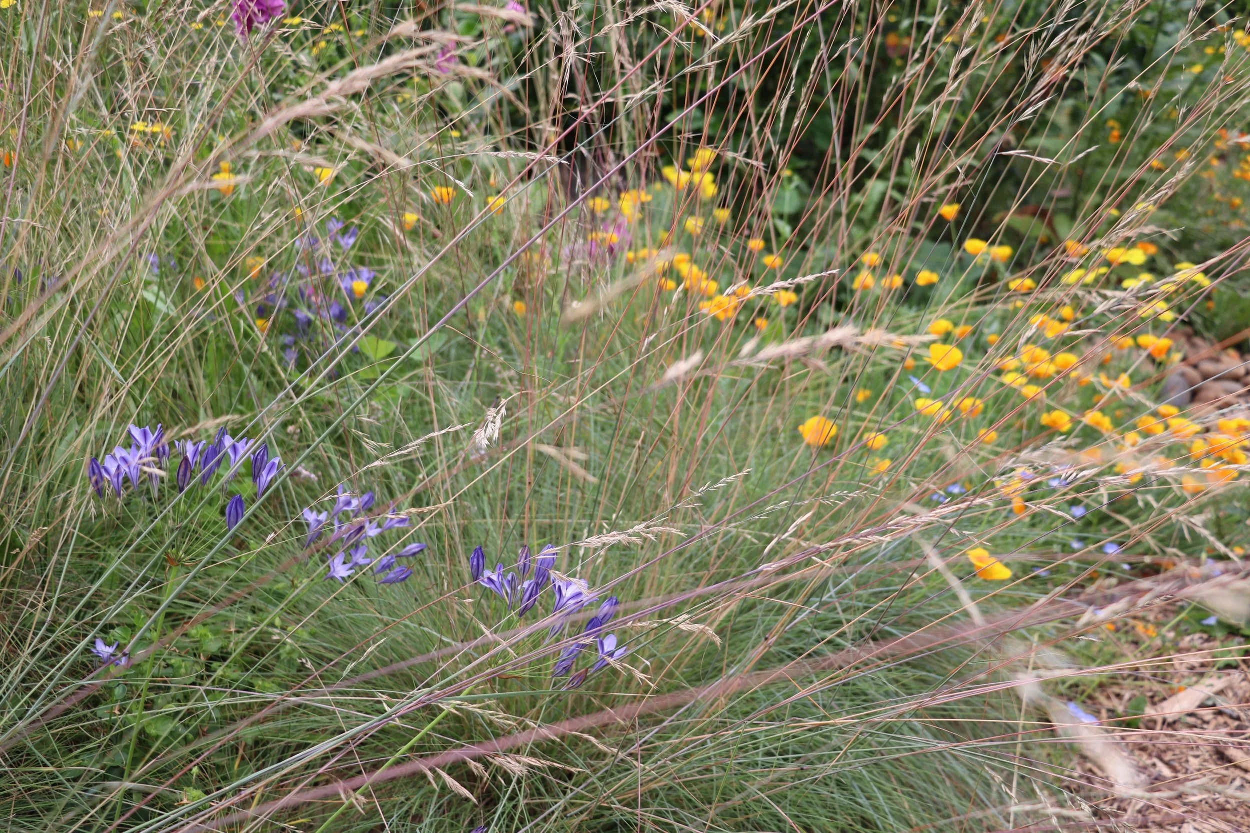 USDA Hardiness Zones — ASLA Oregon Climate Resource Guide