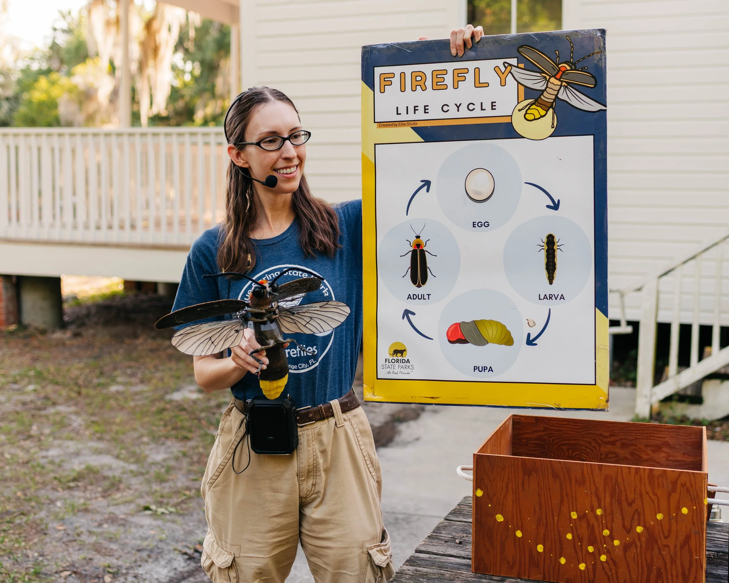 Firefly Nights — Friends of Blue Spring State Park
