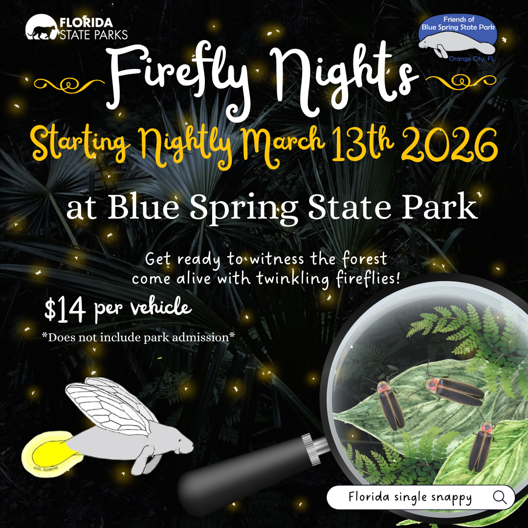 Firefly Nights — Friends of Blue Spring State Park