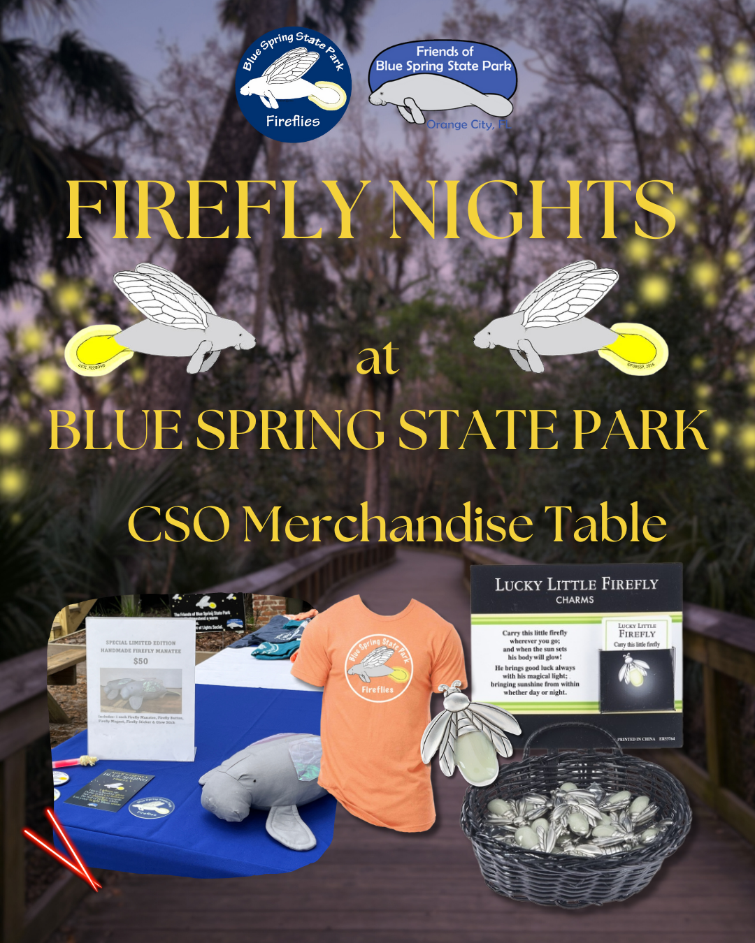 Firefly Nights — Friends of Blue Spring State Park