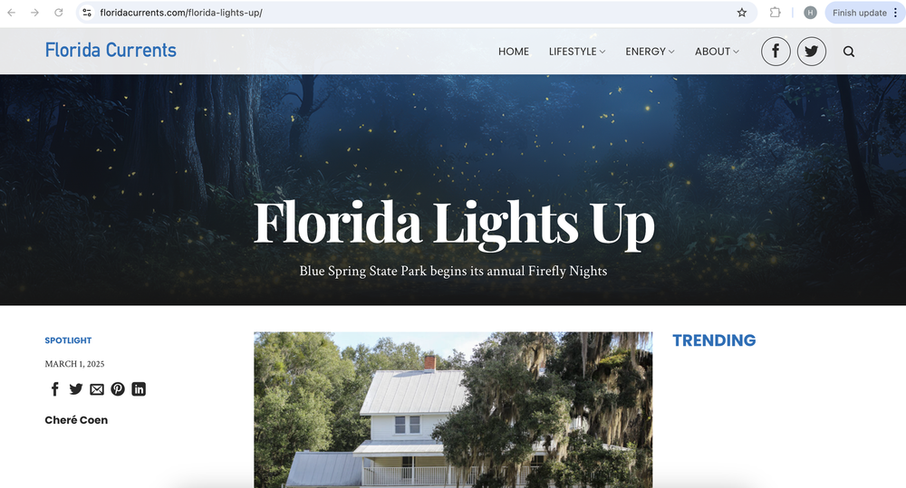 Firefly Nights — Friends of Blue Spring State Park