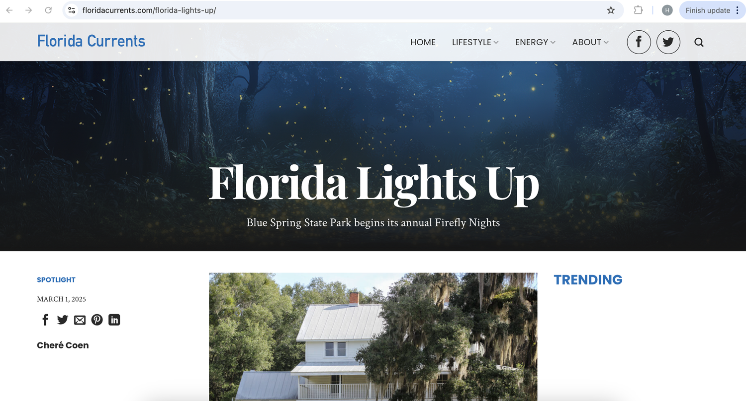 Firefly Nights — Friends of Blue Spring State Park