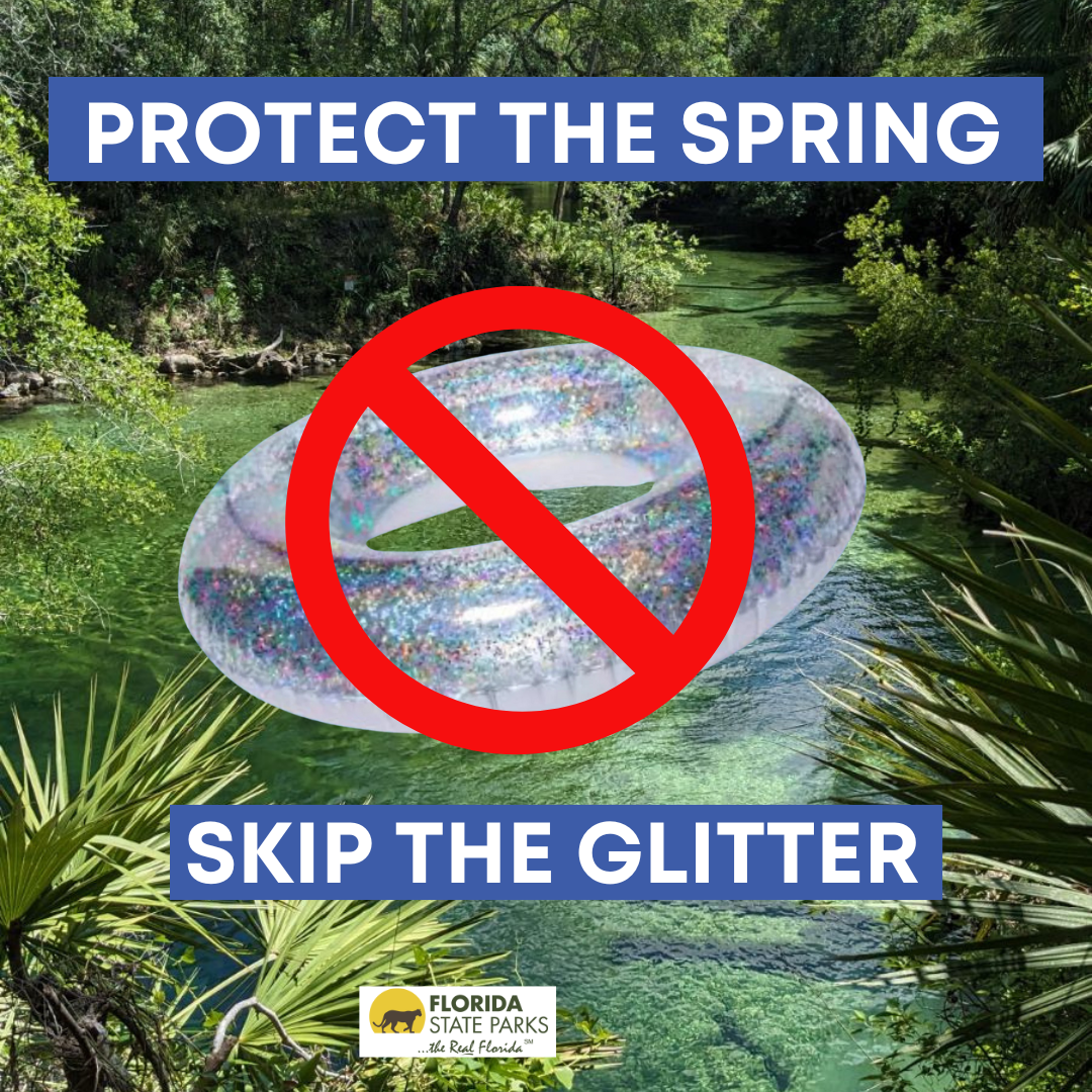 About — Friends of Blue Spring State Park