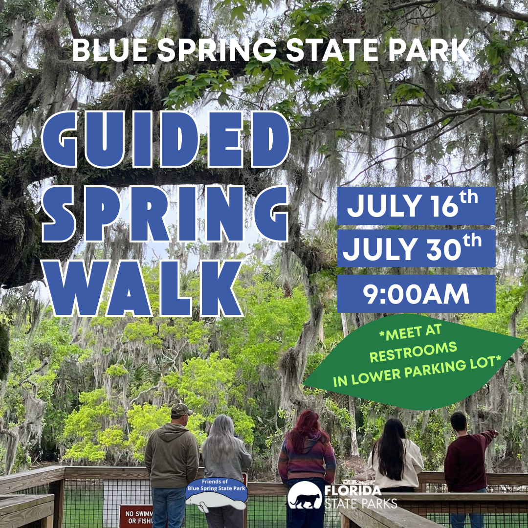 Guided Spring Walk — Friends of Blue Spring State Park