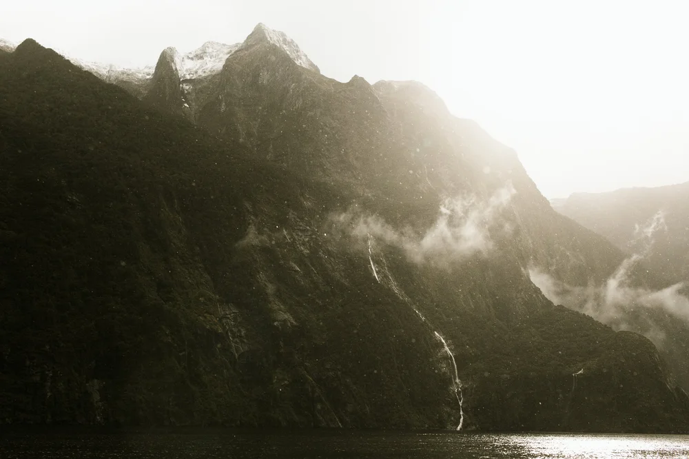 Rachael Larson - brand photographer / videographer | Brand Photographer ...