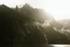 Rachael Larson - brand photographer / videographer | Brand Photographer ...