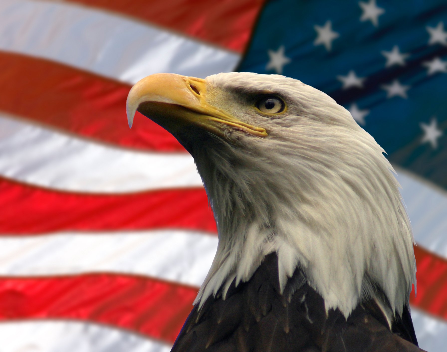 Utah Eagle Forum | Stay Informed Today