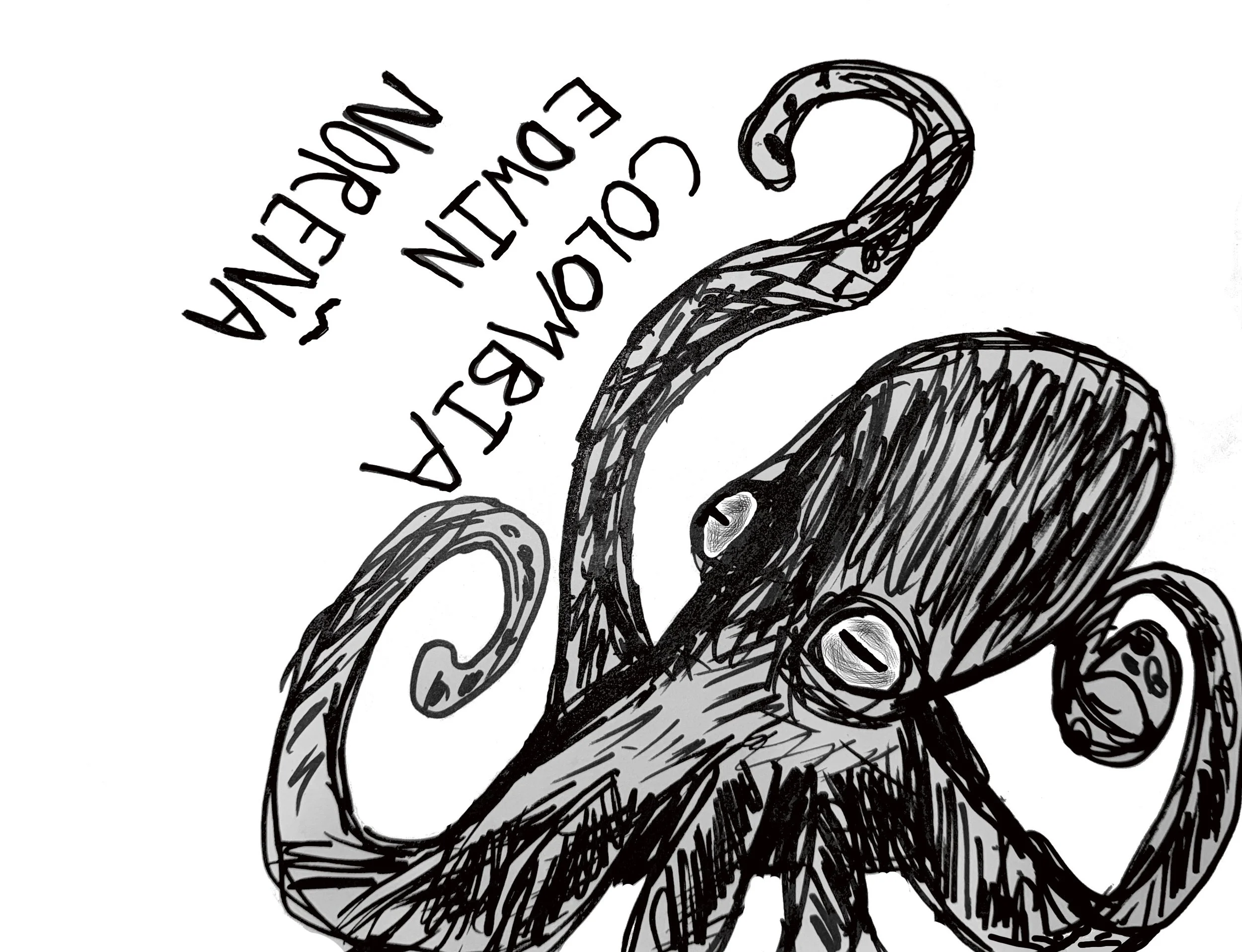 India - Ashok And Divya Patre (Catuai Anaerobic Mossto Washed) (Lychee, Black Current, Plum ...