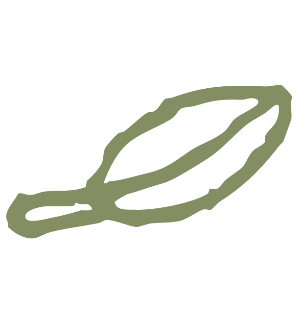 Folk Education Association — Folk School Alliance