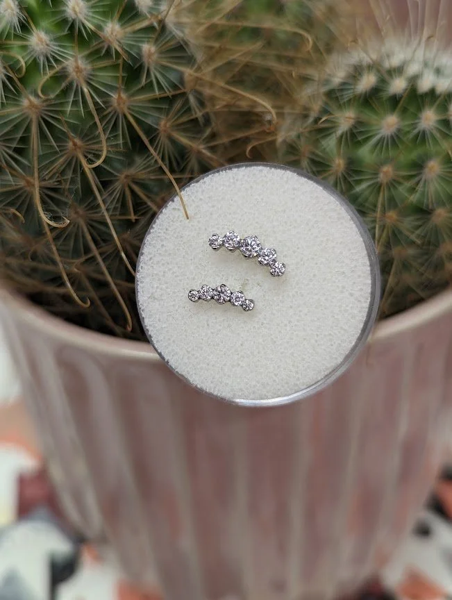 Industrial Strength Titanium - 'Prium' — The Owl & the Pussycat Piercing