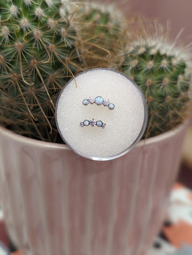 Industrial Strength Titanium - 'Prium' — The Owl & the Pussycat Piercing