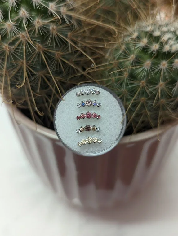 Industrial Strength Titanium - 'Prium' — The Owl & the Pussycat Piercing