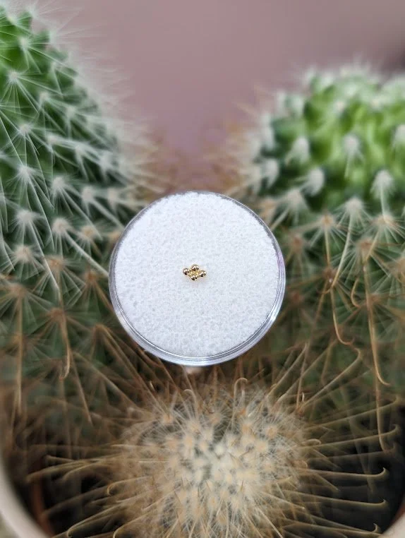 Junipurr 14ct Gold - 'Quad Bead' — The Owl & the Pussycat Piercing