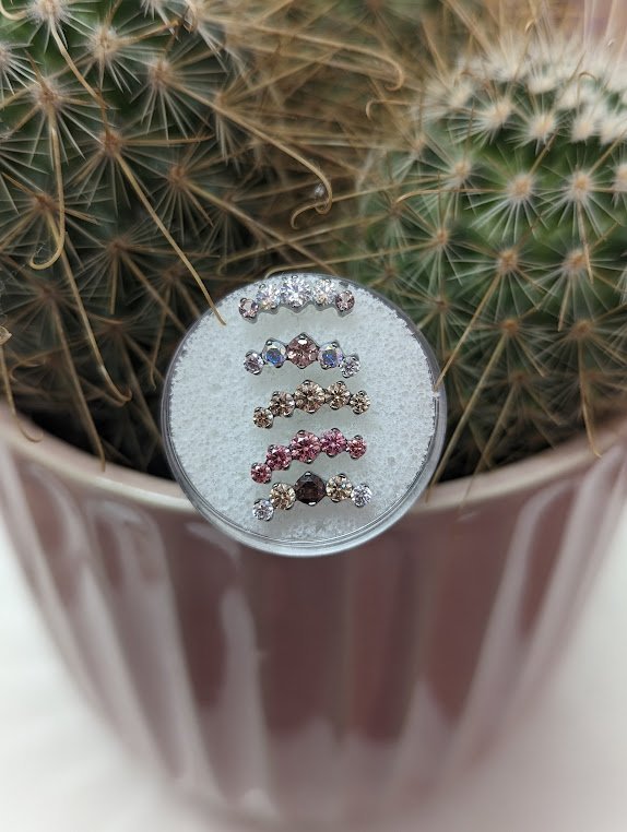 Industrial Strength Titanium - 'Prium' — The Owl & the Pussycat Piercing