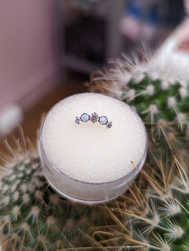 Industrial Strength Titanium - 'Prium' — The Owl & the Pussycat Piercing