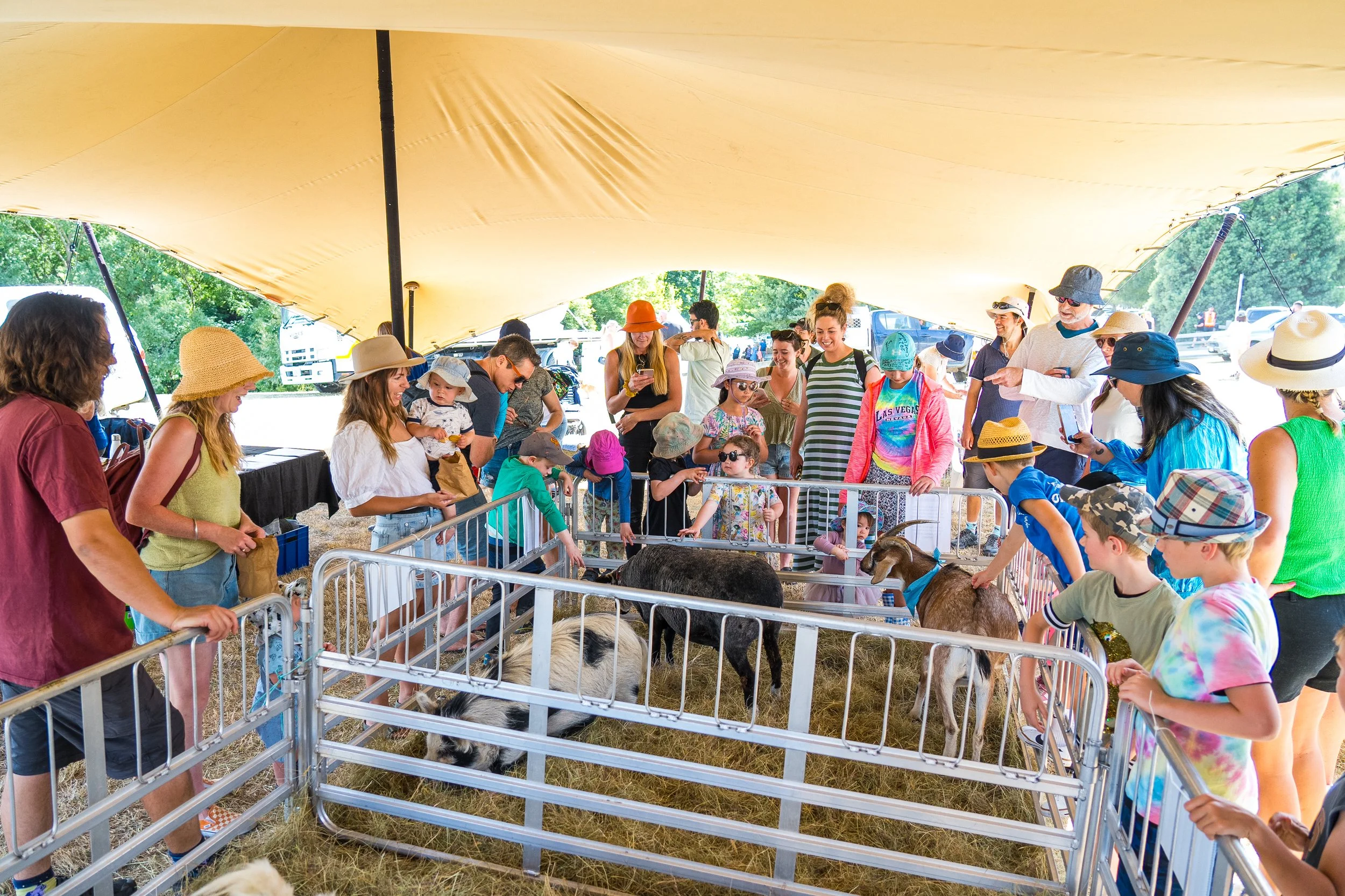 Partners — Lake Hayes A&P Show