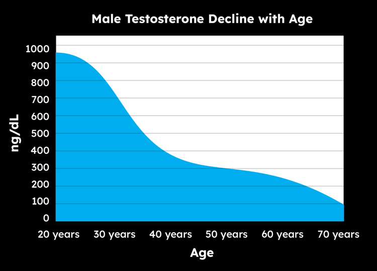 How it Works — Bolt.Health