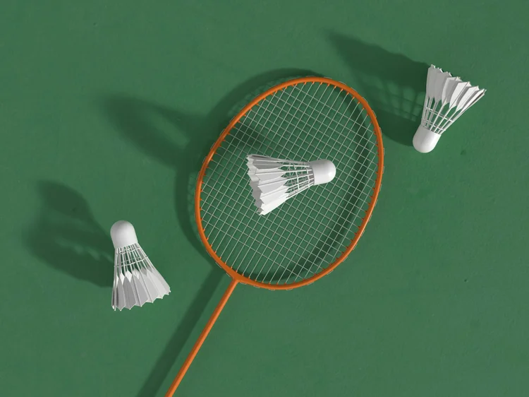 BADMINTON — APSAP-VP