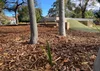 Hunter Park Upgrade — Summit Services