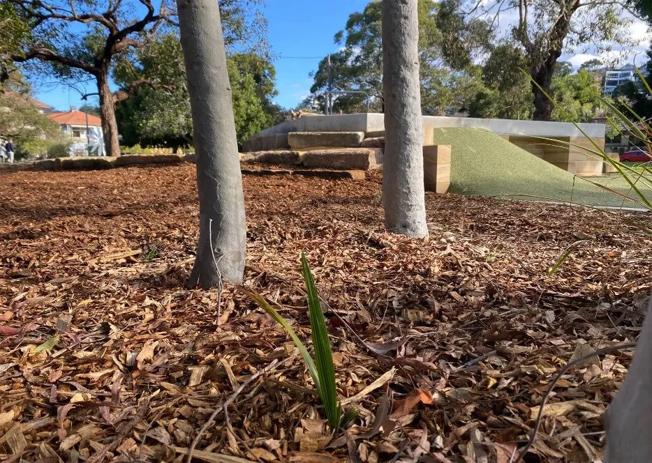 Hunter Park Upgrade — Summit Services
