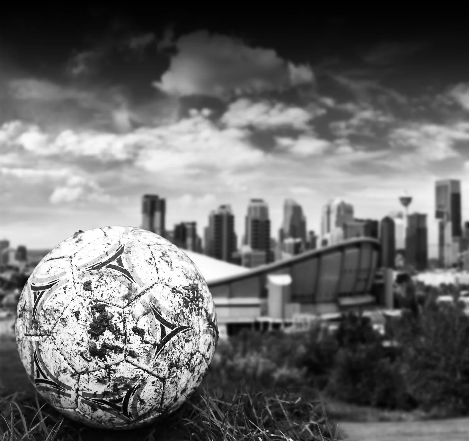 Fields for Our Future