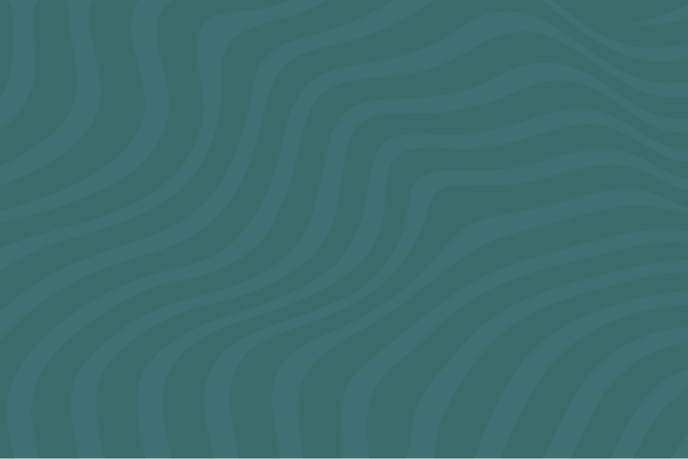 ADHD Resources | Guides & Expert Advice — CARE ADHD