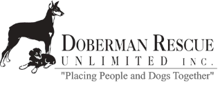 Rescue & Foster Links | Discover Doberman Rescue Today — Doberman Fields'