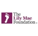 The Lily Mae Foundation | Support for Families Affected by Baby Loss ...