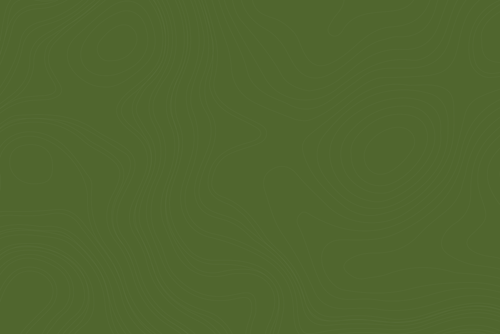 Events — Ark Consultancy & Events